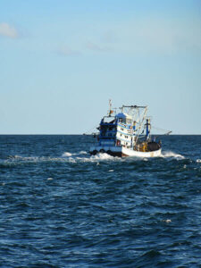 Policy - Defra Jobs - UK Government