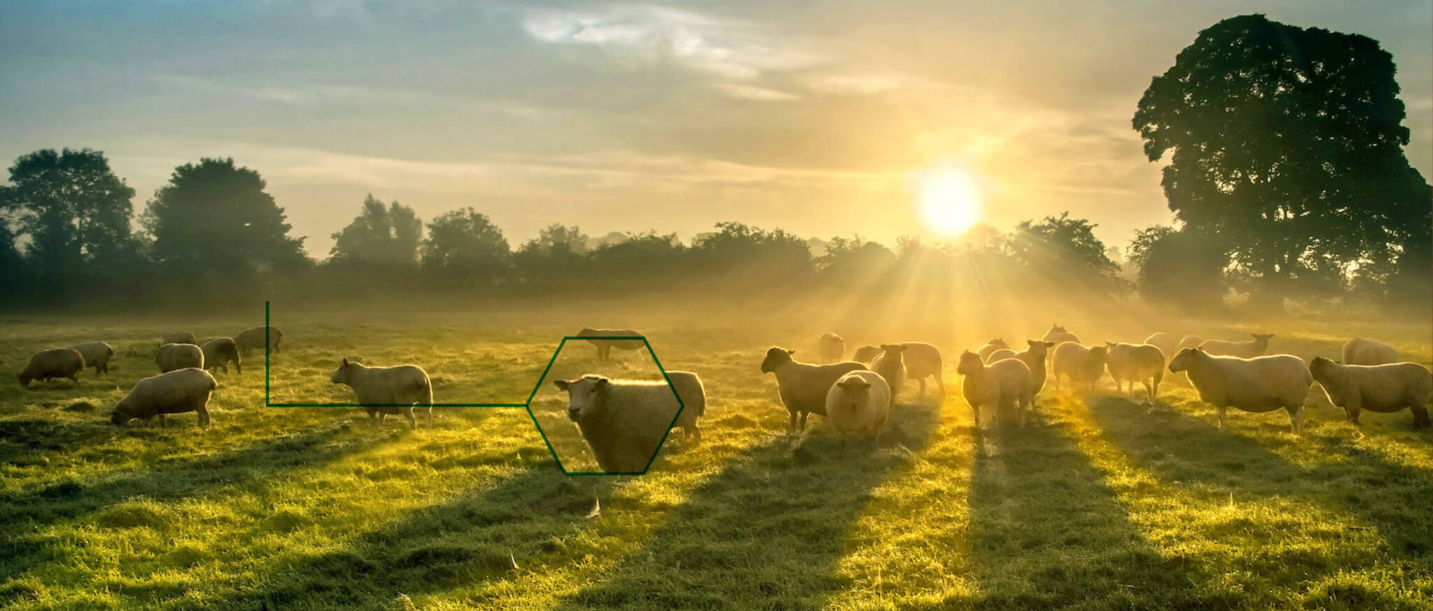 Research and Development Fellowship Programme 2026/27 - Defra Jobs - UK ...